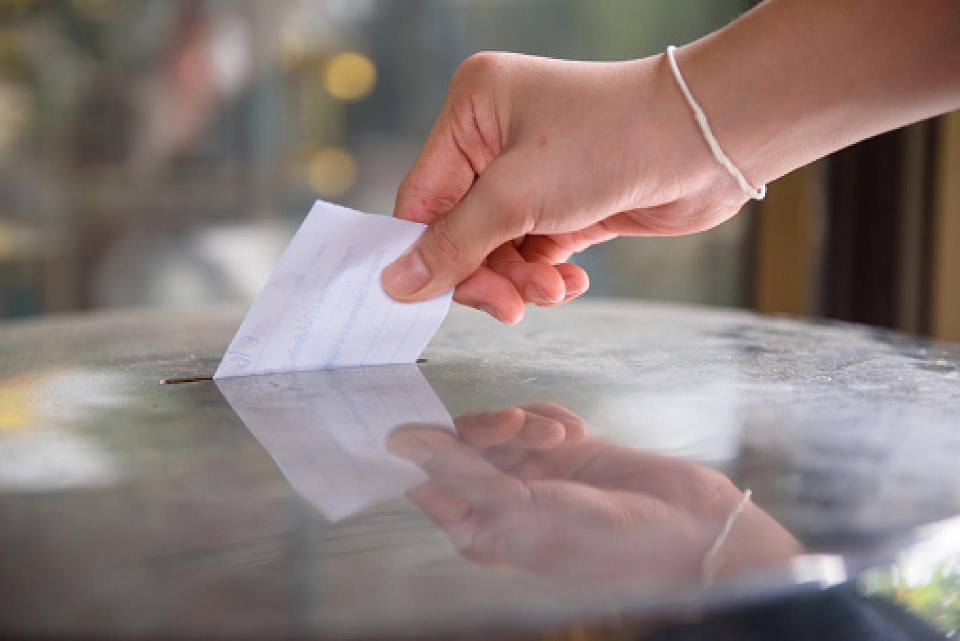 Organiser les élections professionnelles du CSE - Ludik Métiers